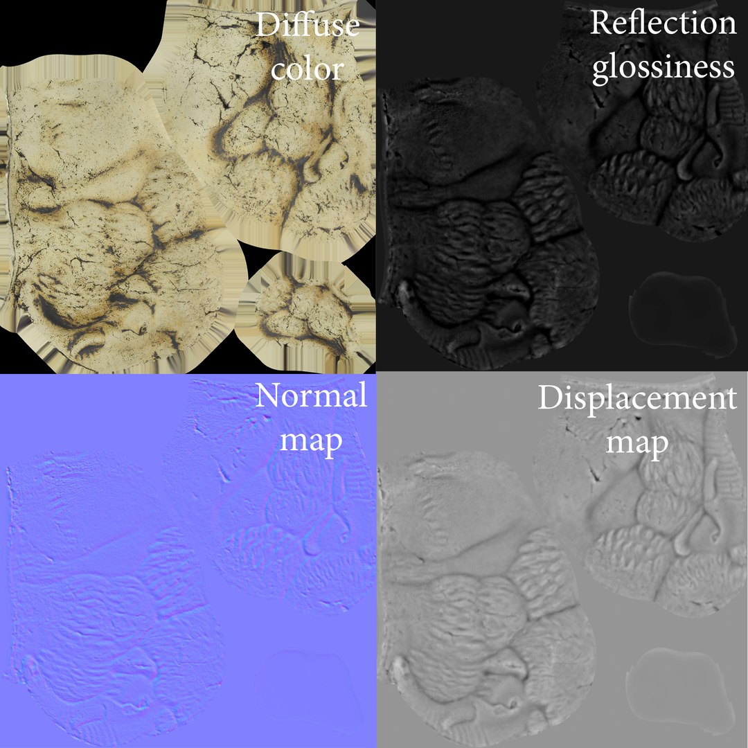 Mammoth photogrammetry renders 3D model - TurboSquid 1205975