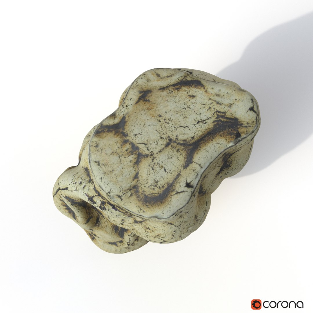 Mammoth Photogrammetry Renders 3d Model Turbosquid 1205975