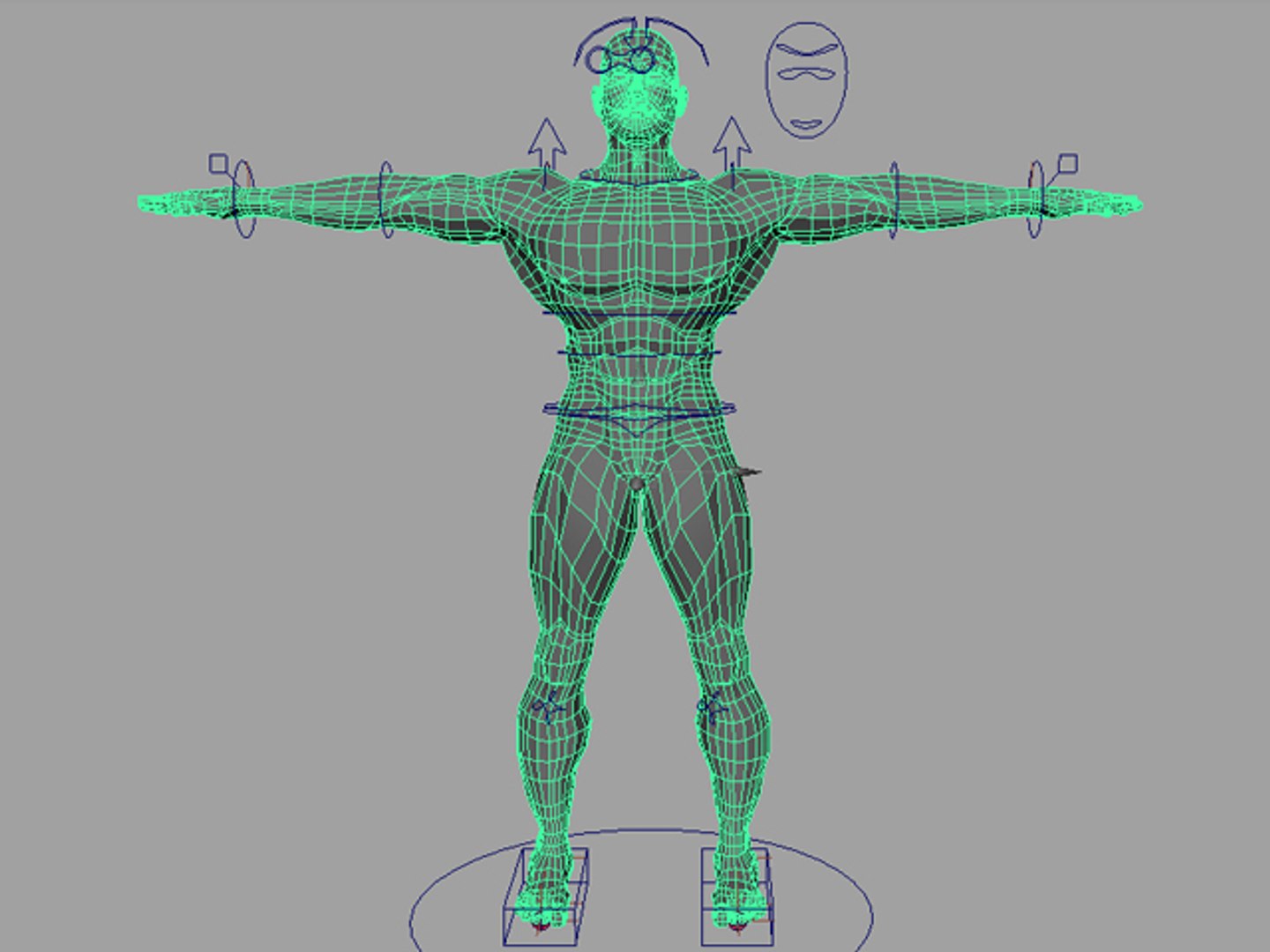 Man Rig 3d Model