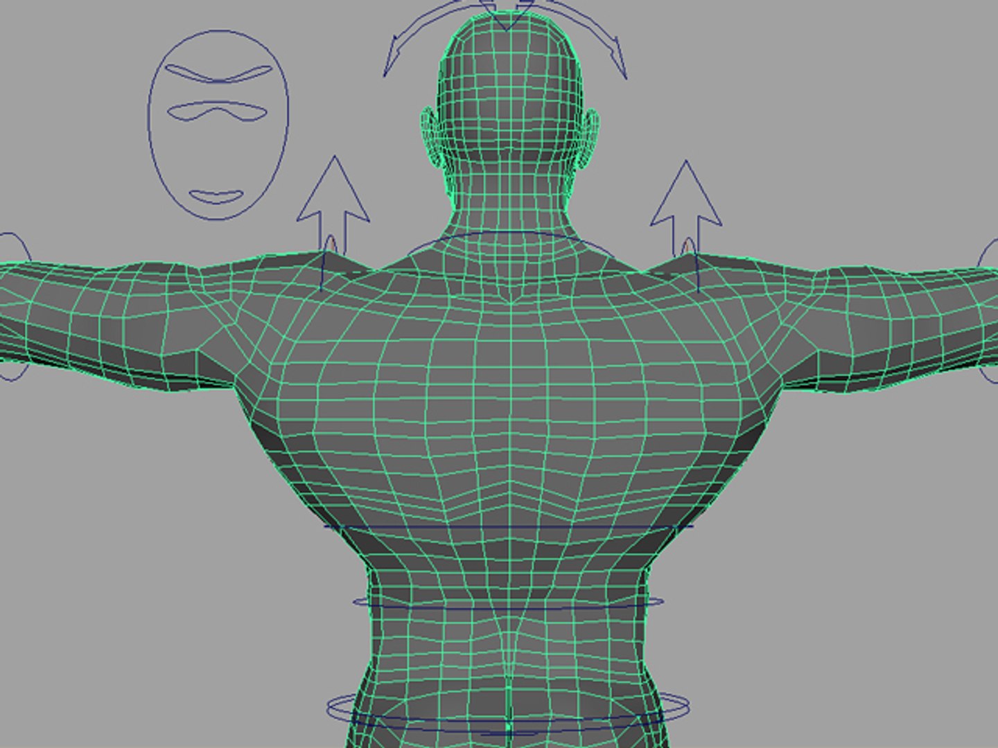 Man Rig 3d Model