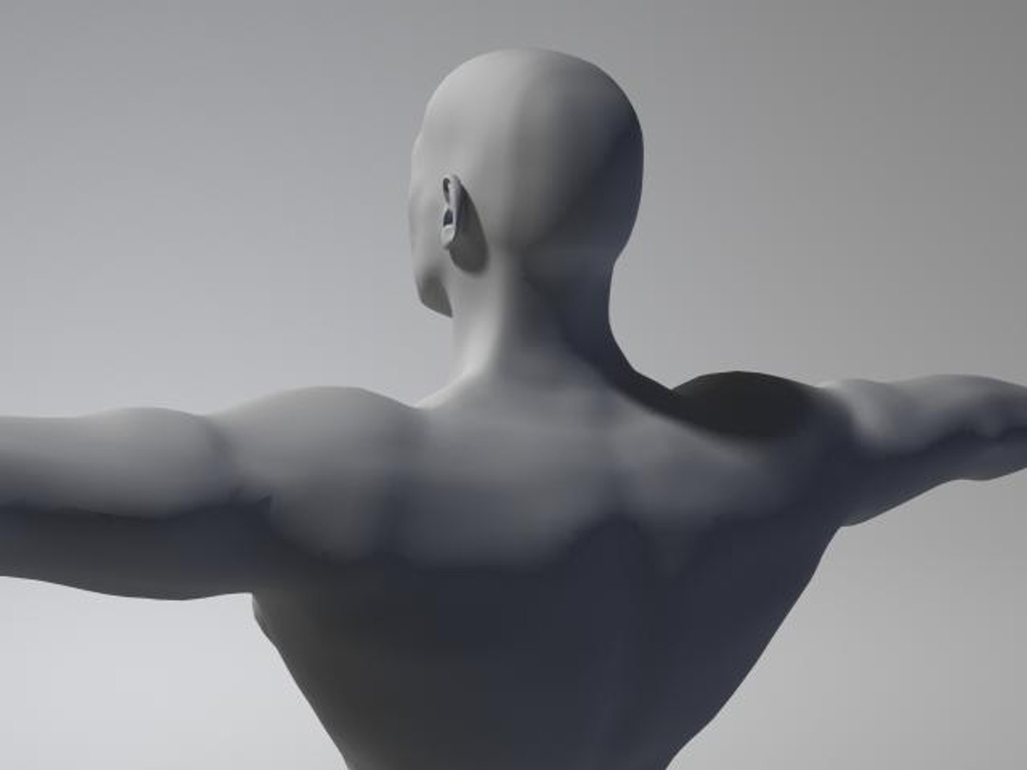 Man Rig 3d Model