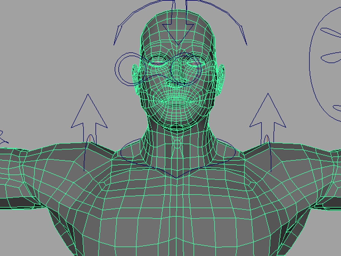 Man Rig 3d Model