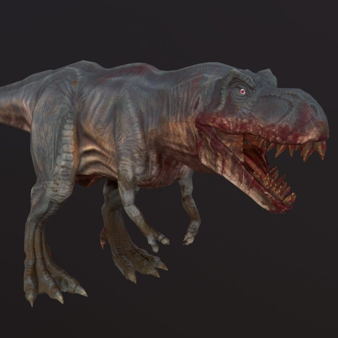 Carnivore Predator 3D Model - TurboSquid 1391149
