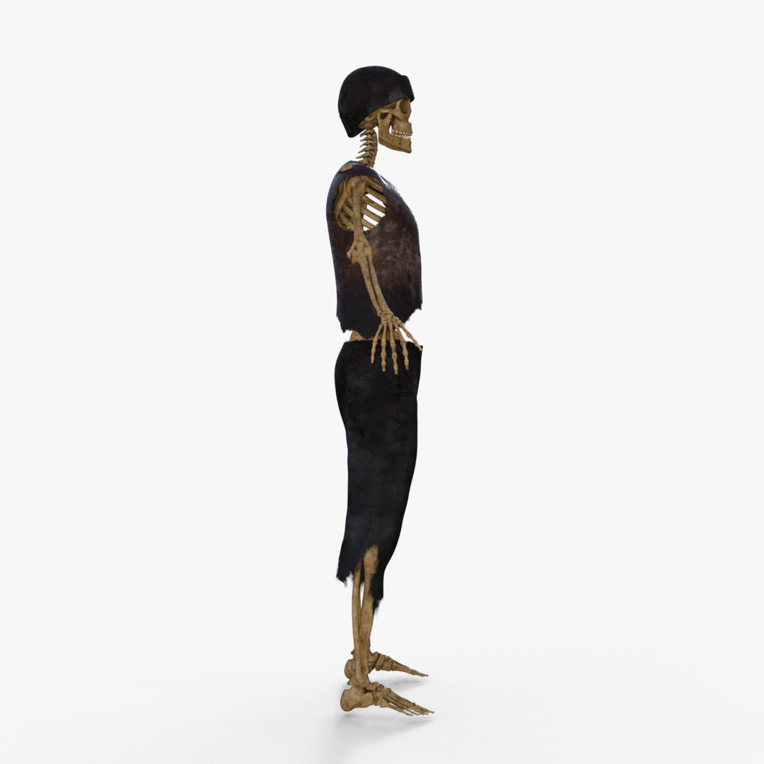 Scary Skeleton 3D model - TurboSquid 1983392