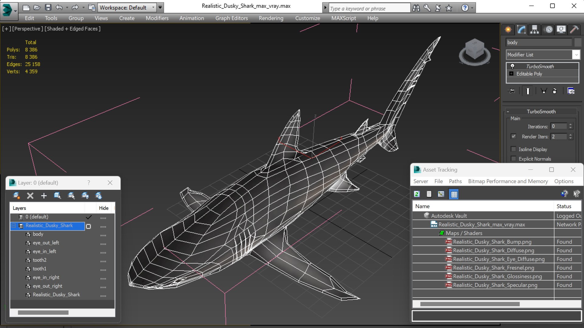 Realistic Dusky Shark 3D Model - TurboSquid 2236287