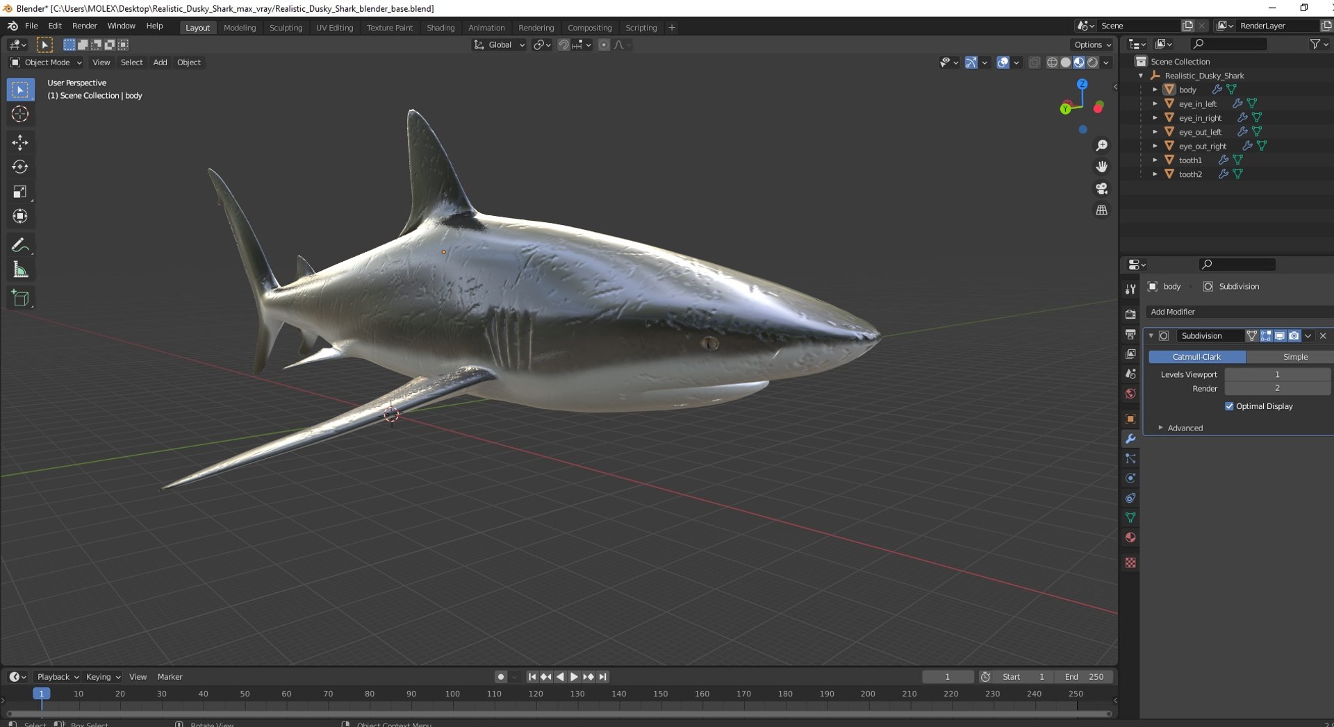 Realistic Dusky Shark 3D Model - TurboSquid 2236287