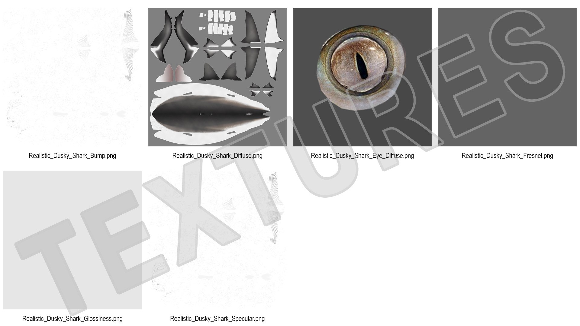 Realistic Dusky Shark 3D Model - TurboSquid 2236287