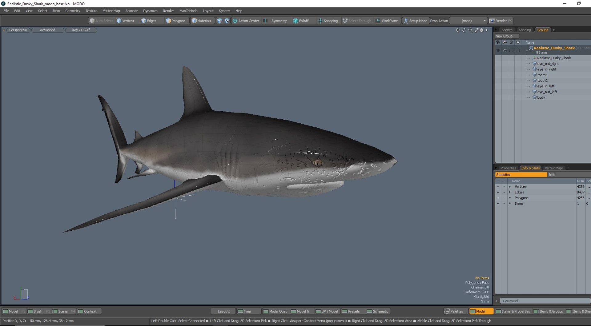 Realistic Dusky Shark 3D Model - TurboSquid 2236287