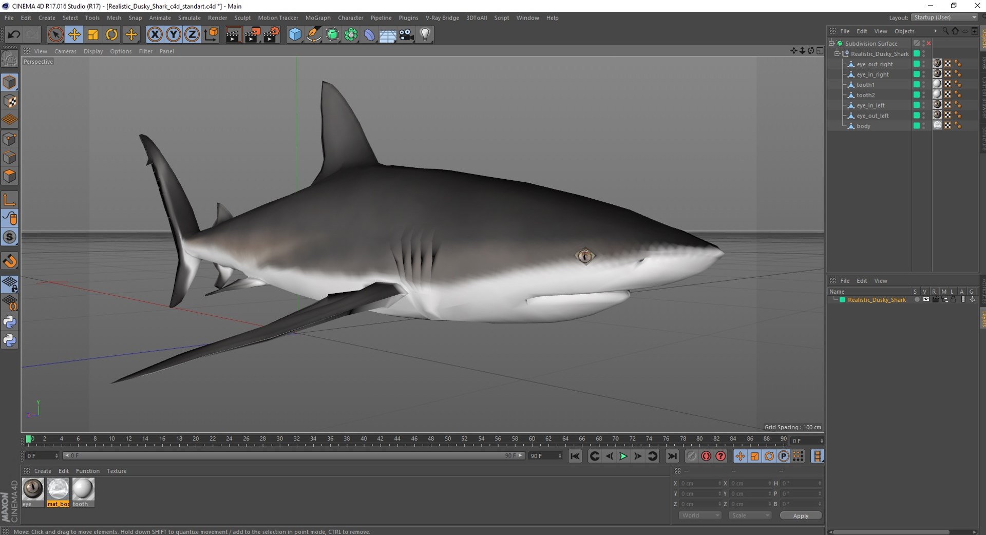 Realistic Dusky Shark 3D Model - TurboSquid 2236287