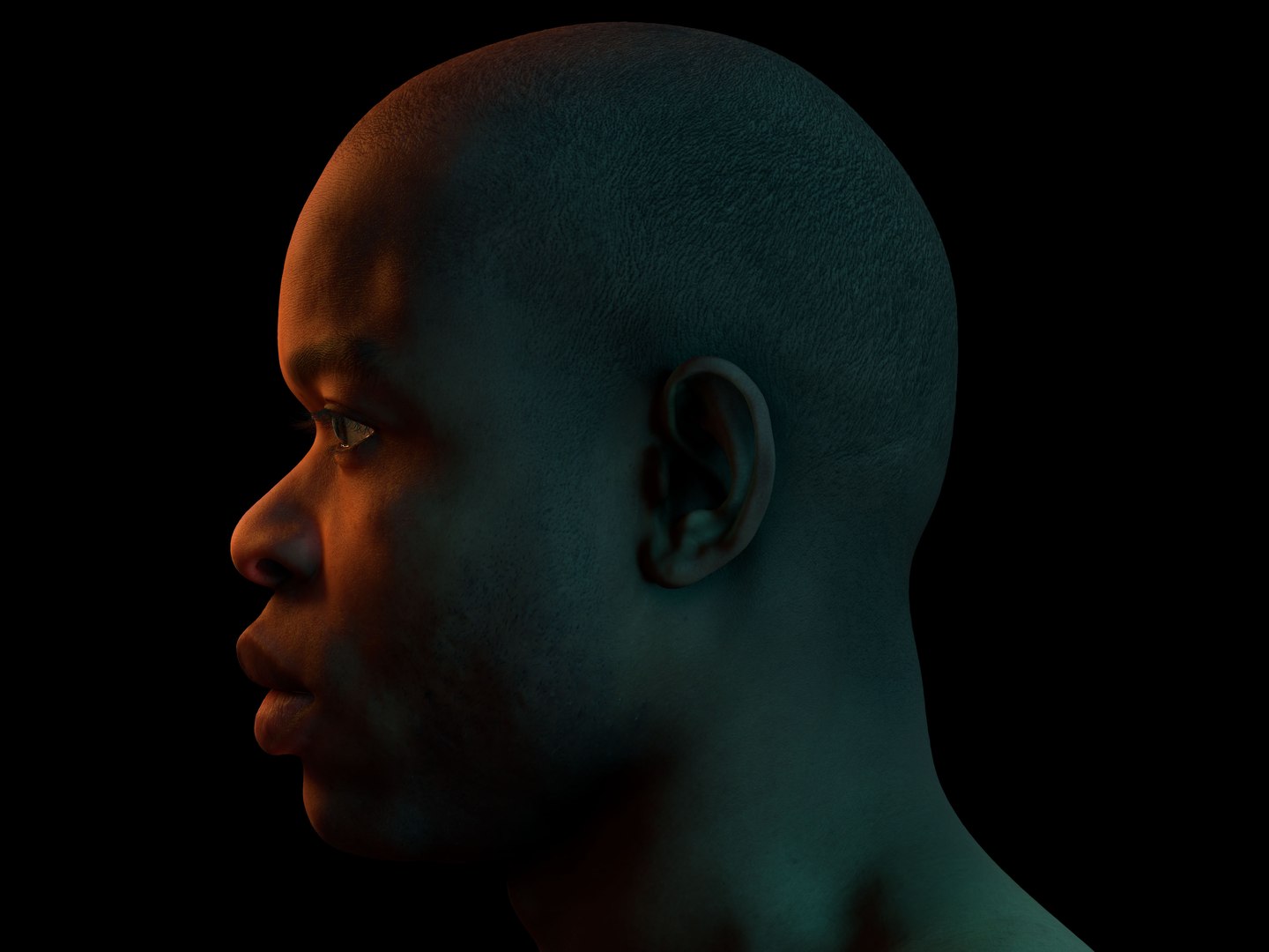 Retopologized Head Scan Denton Allen 3D - TurboSquid 1926131