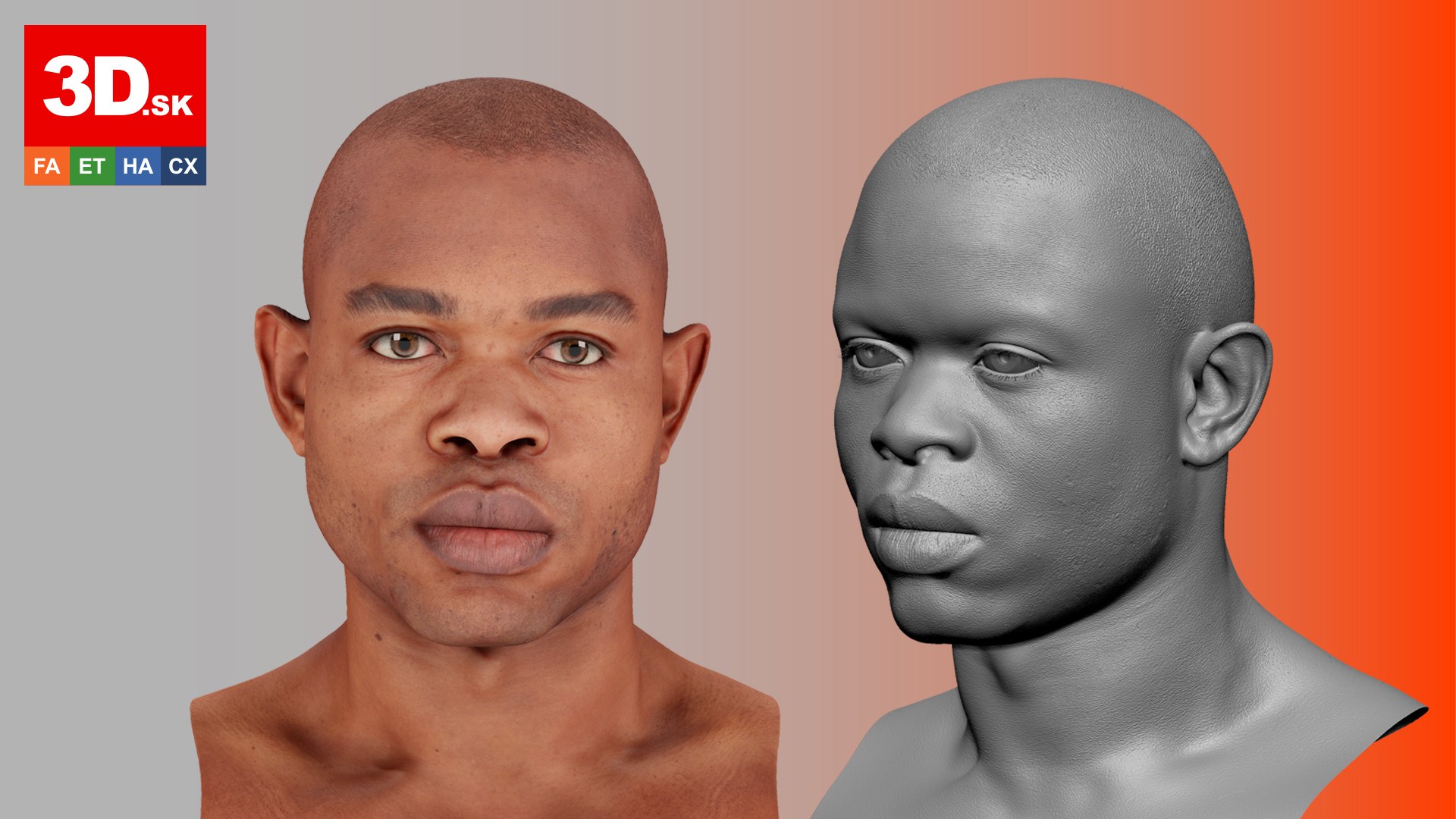 Retopologized Head Scan Denton Allen 3D - TurboSquid 1926131