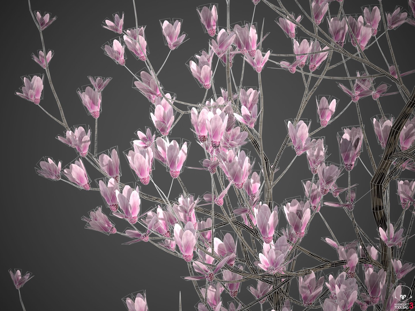 Free Magnolia Tree Nature 3D Model - TurboSquid 1678296