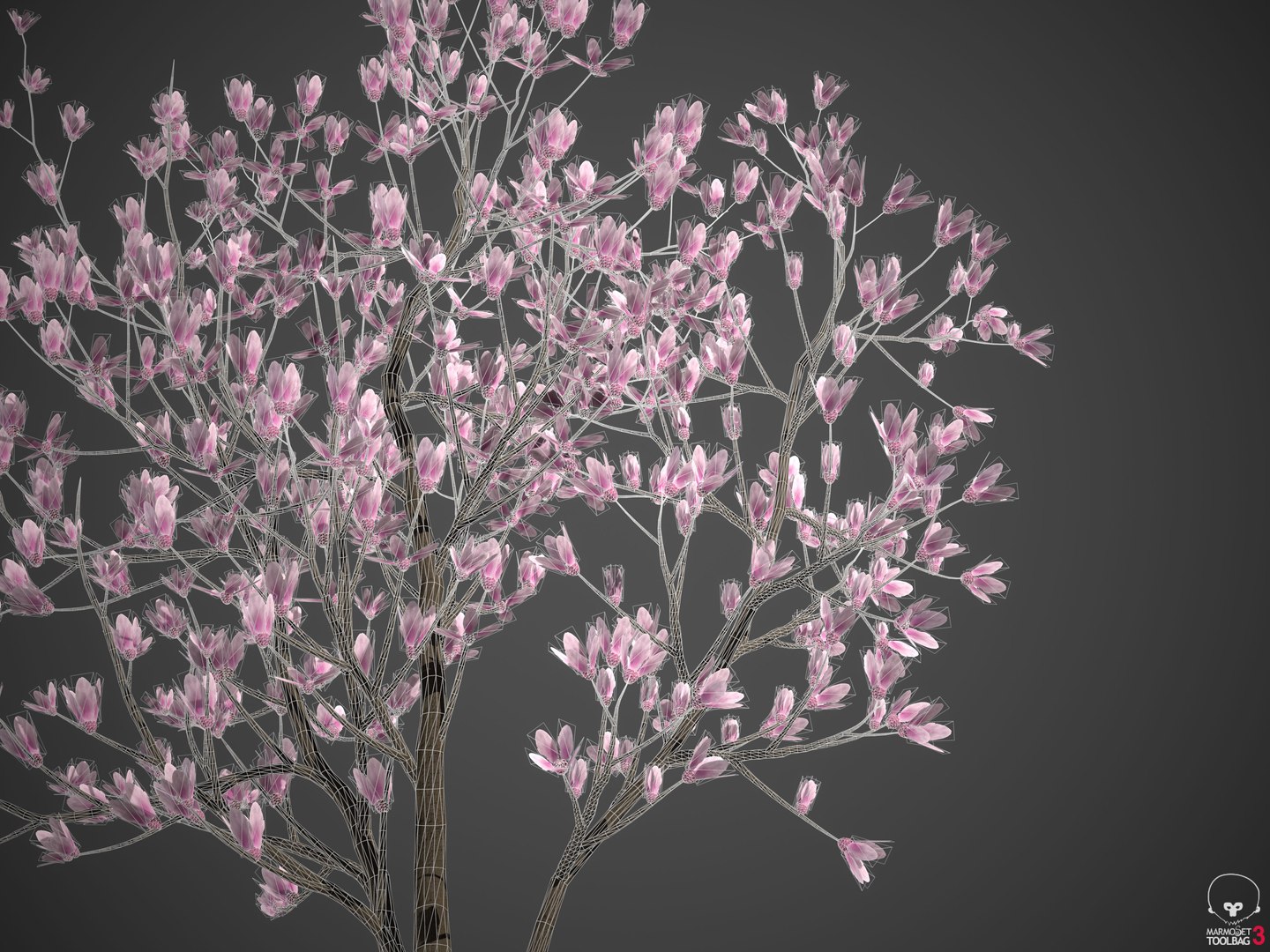 Free Magnolia Tree Nature 3D Model - TurboSquid 1678296