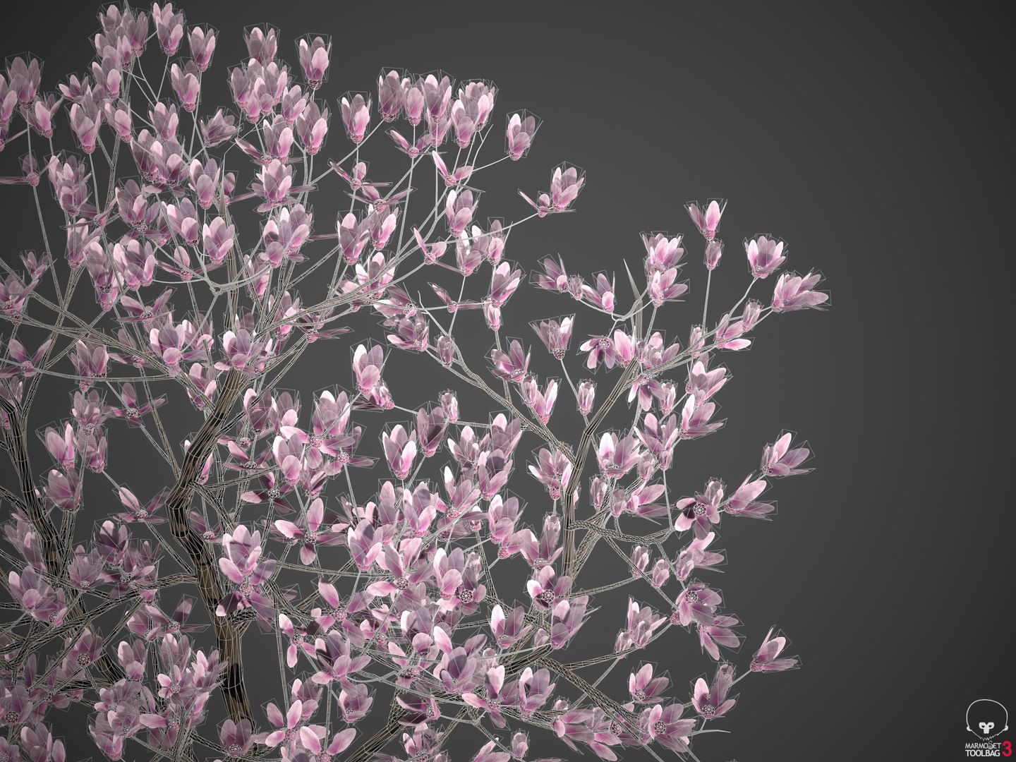 Free Magnolia Tree Nature 3D Model - TurboSquid 1678296