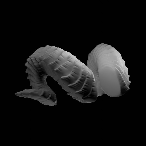 Animal Skull STL Models for Download | TurboSquid