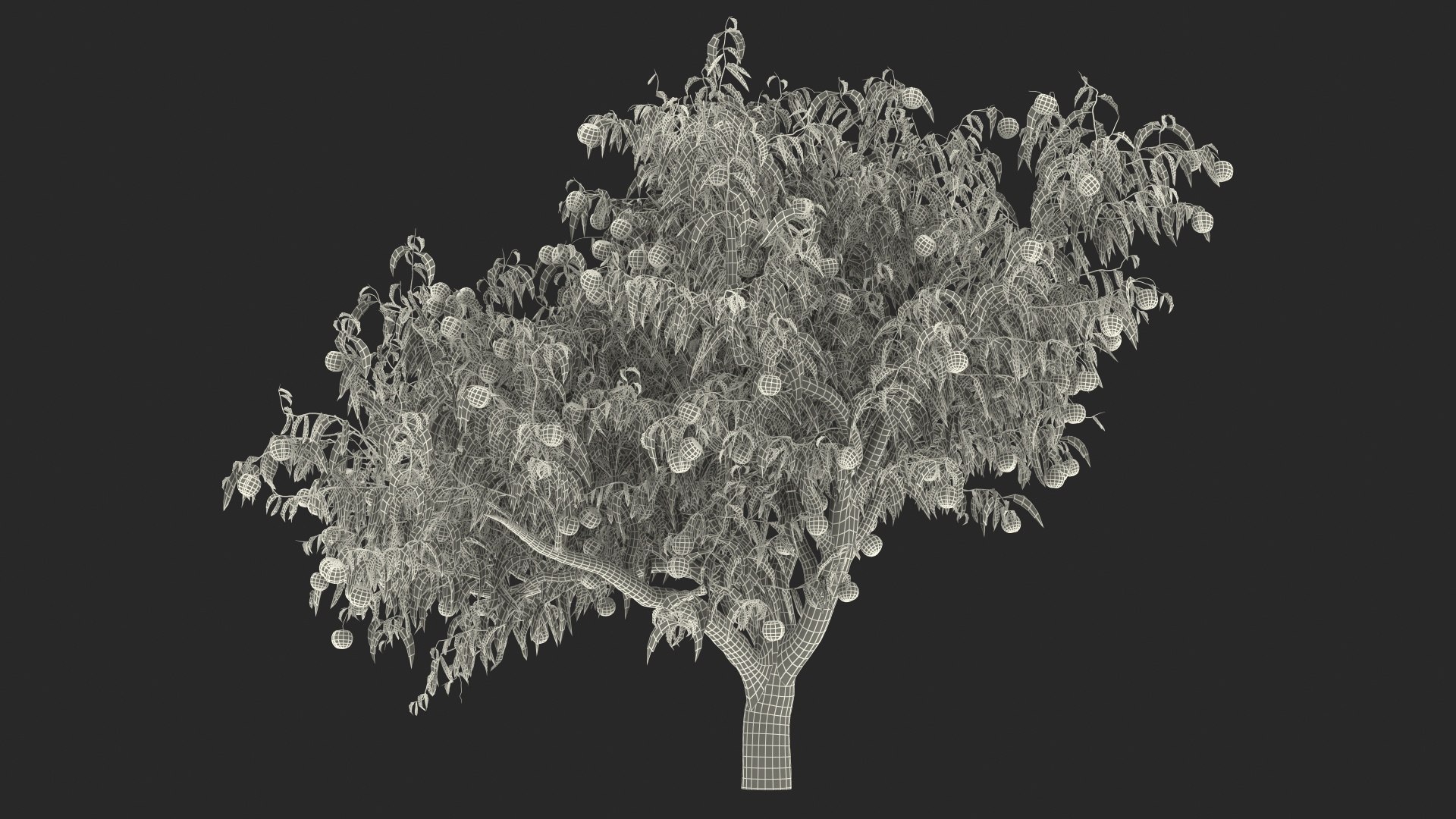 3D fruit trees model - TurboSquid 1522536