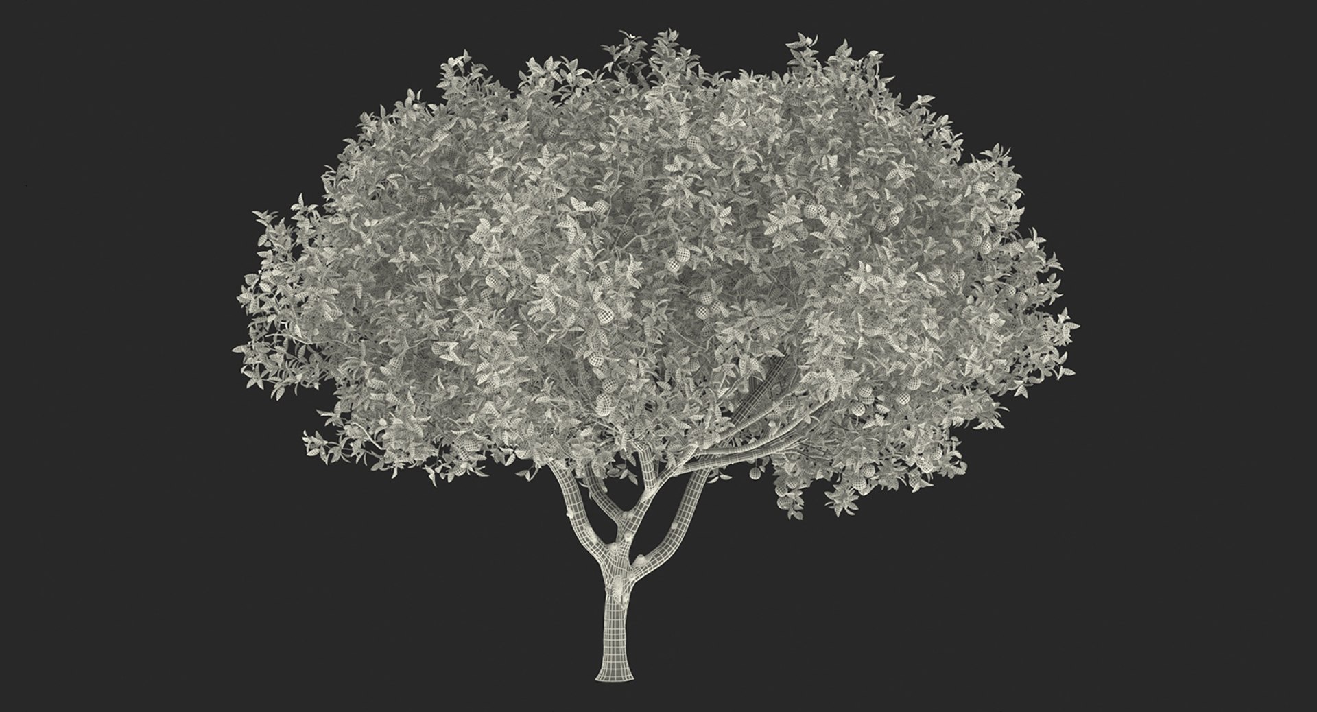 3D fruit trees model - TurboSquid 1522536