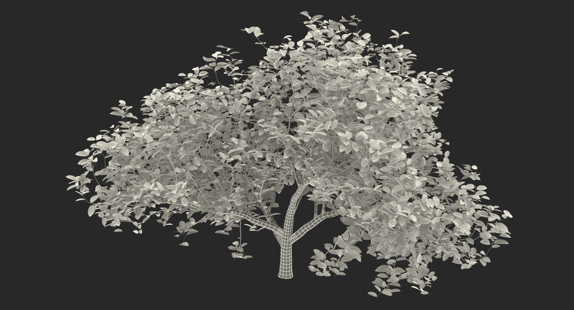 3D fruit trees model - TurboSquid 1522536