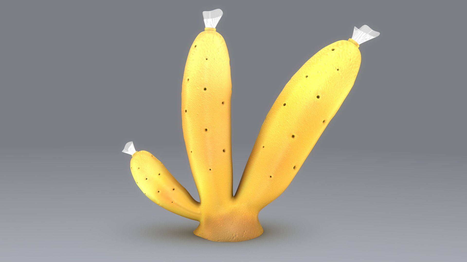 3d Model Scypha Species Calcareous