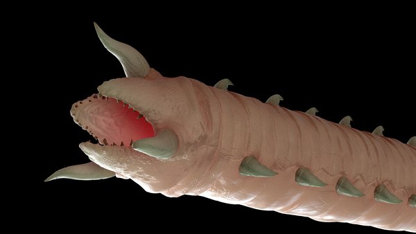 Dune worm sand 3D model - TurboSquid 1681095