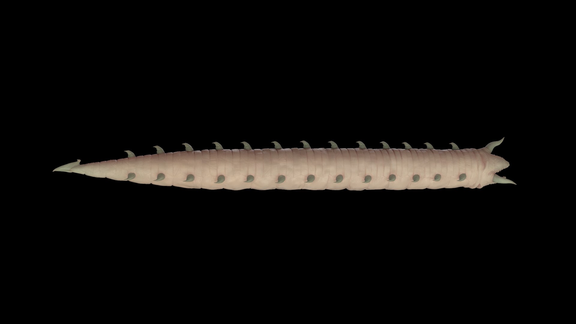 Dune Worm Sand 3D Model - TurboSquid 1681095