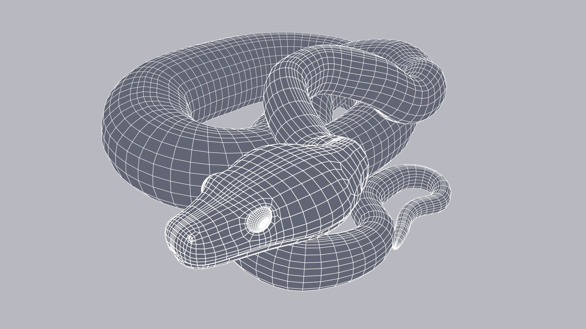 Zebra Jungle Carpet Python - Static Poses 3D Model - TurboSquid 2020582