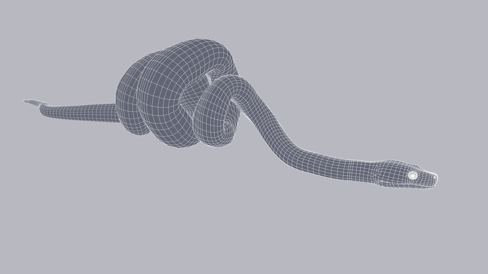Zebra Jungle Carpet Python - Static Poses 3D Model - TurboSquid 2020582