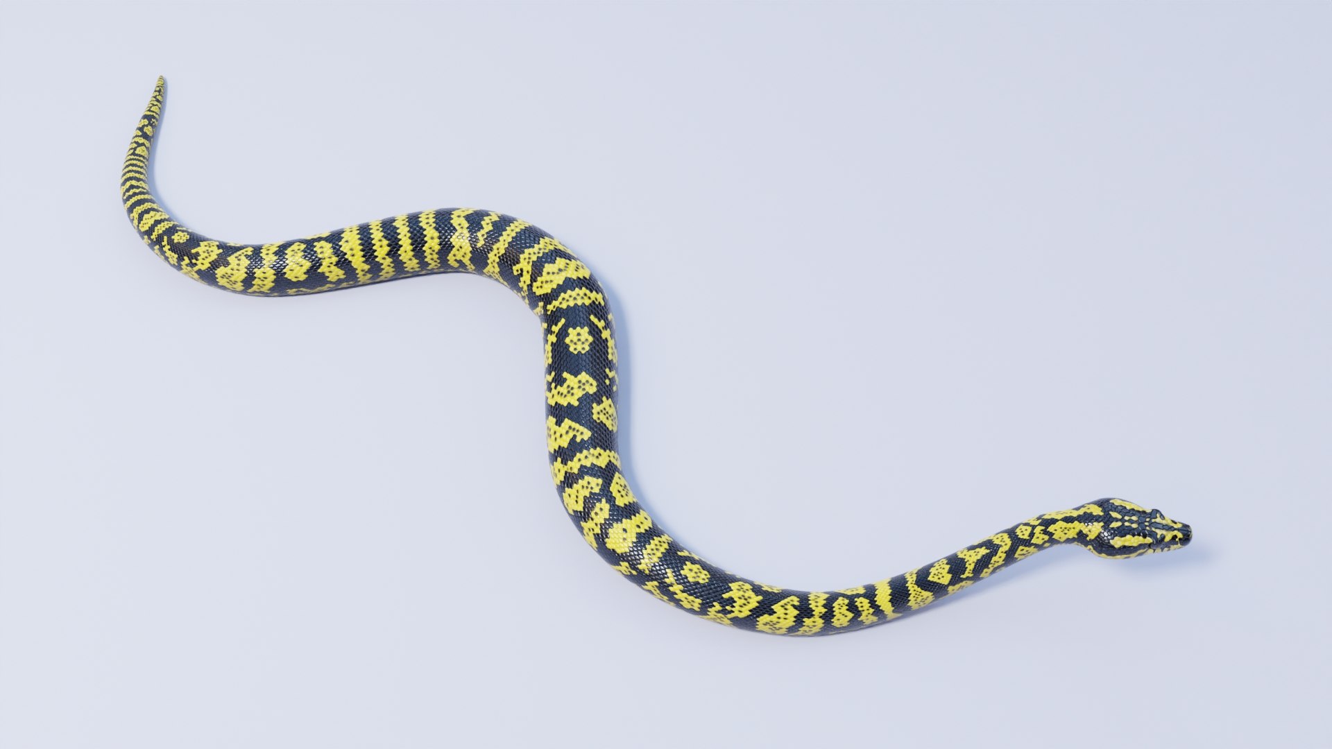 Zebra Jungle Carpet Python - Static Poses 3D Model - TurboSquid 2020582