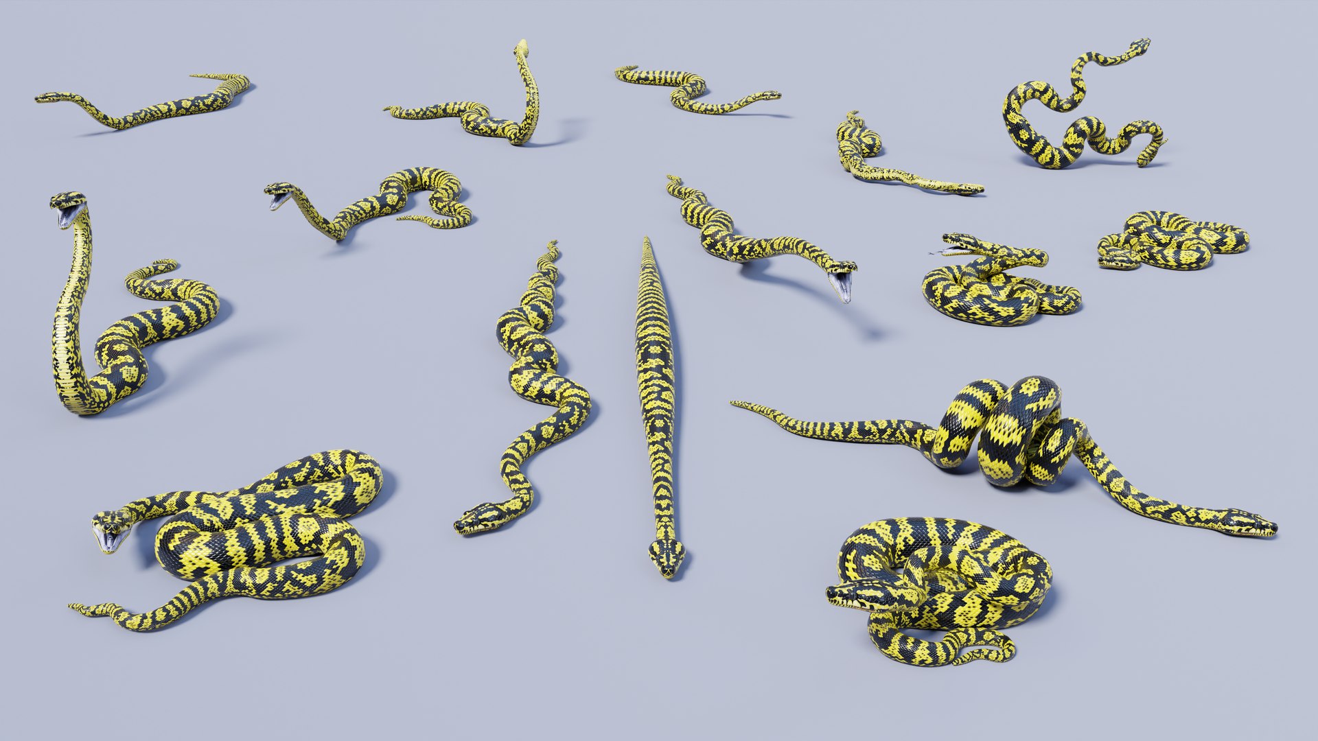 Zebra Jungle Carpet Python - Static Poses 3D Model - TurboSquid 2020582