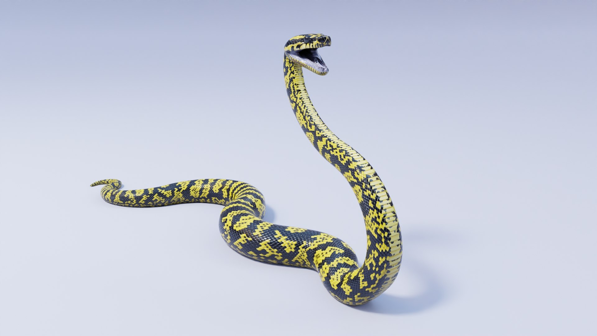 Zebra Jungle Carpet Python - Static Poses 3D Model - TurboSquid 2020582