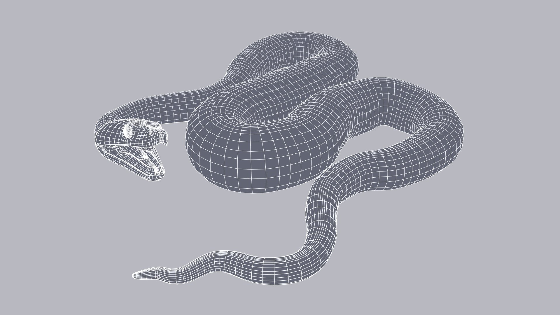 Zebra Jungle Carpet Python - Static Poses 3D Model - TurboSquid 2020582