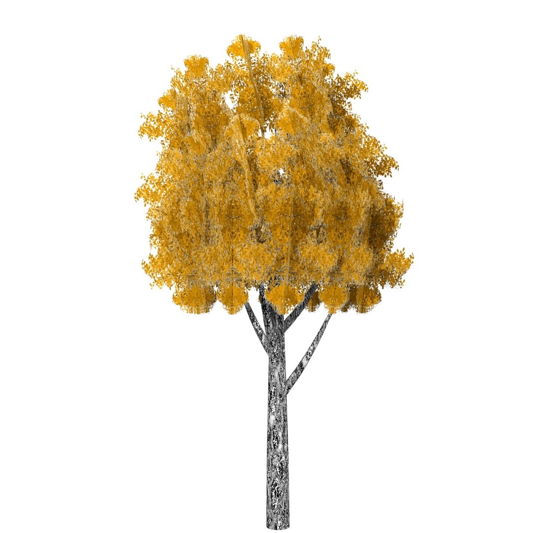 Pc Tree 3d C4d