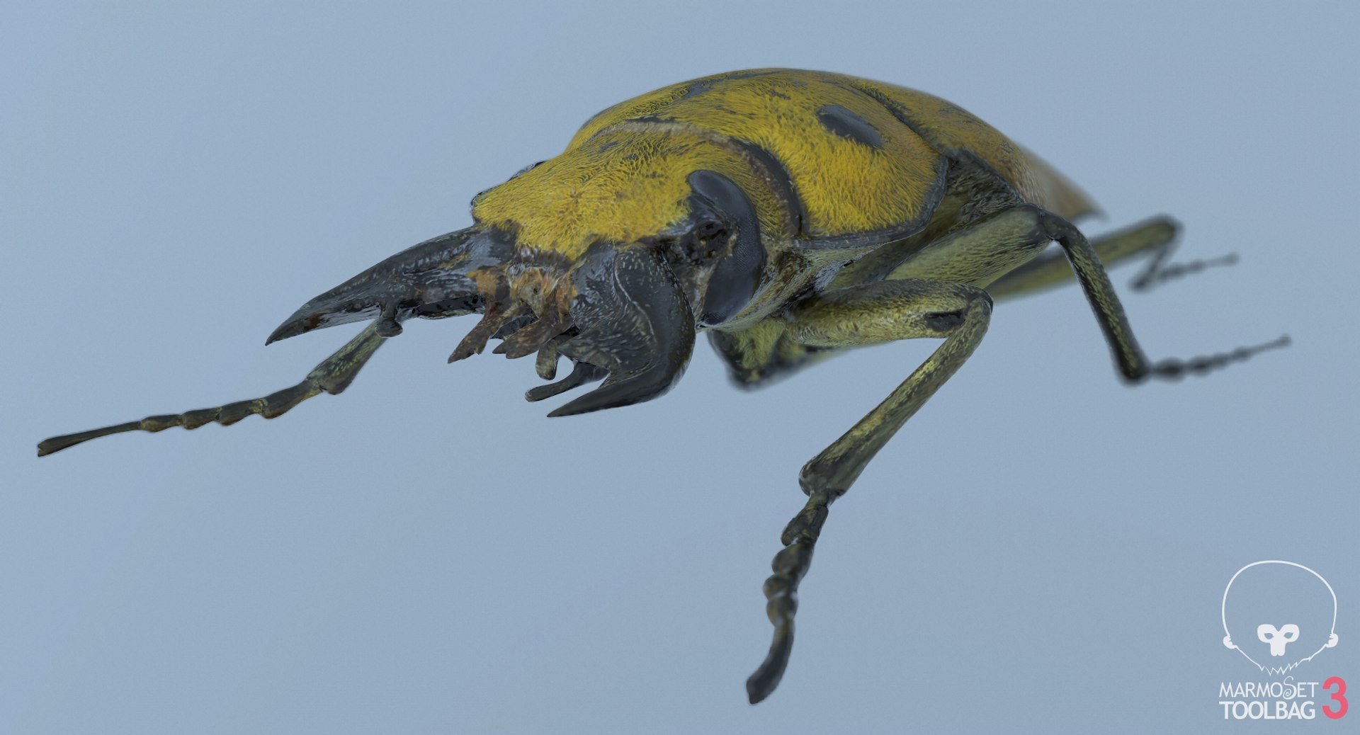 Brown Steampunk Beetle Model - TurboSquid 1256020