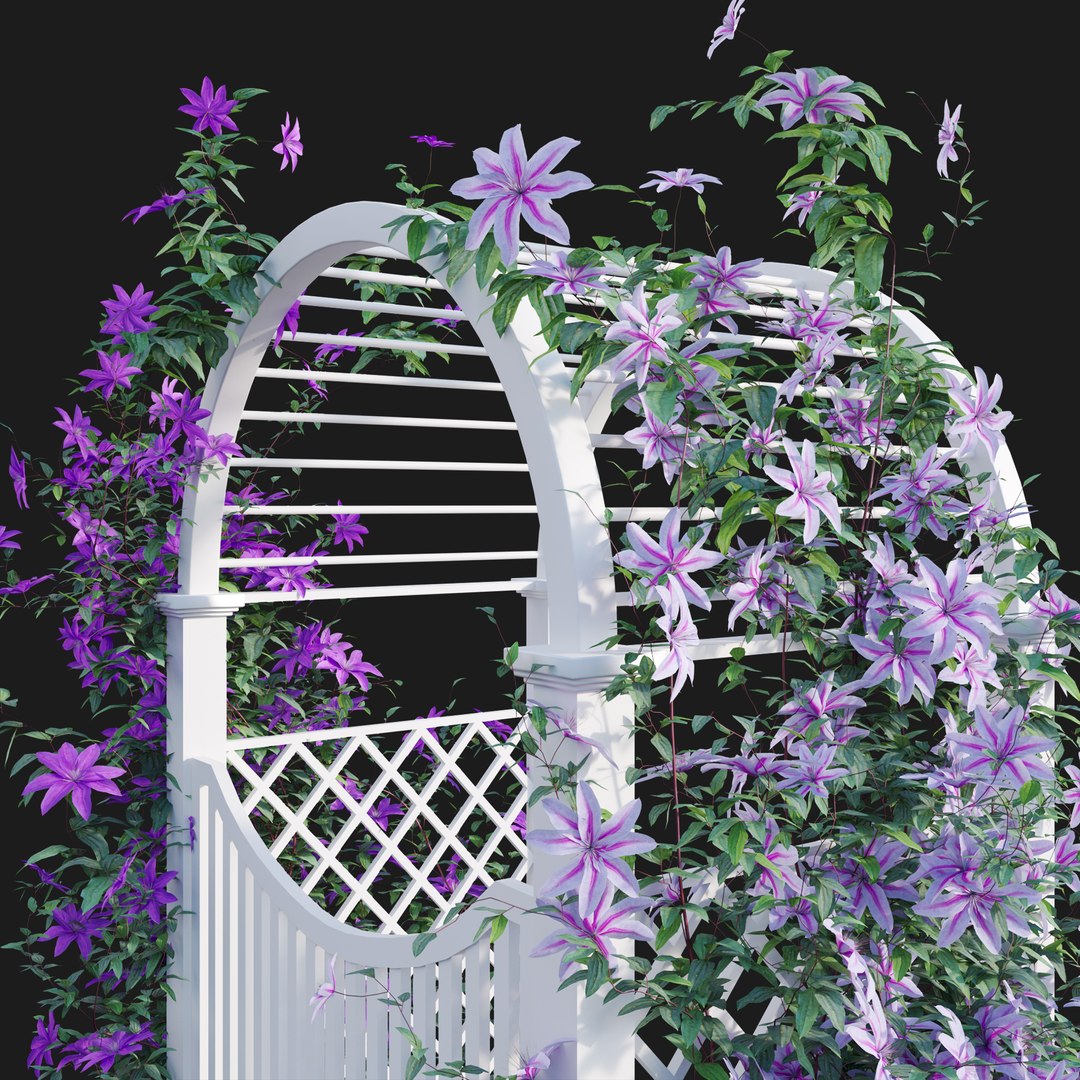 Clematis Aotearoa - Creeper Gate 3D Model - TurboSquid 2047959