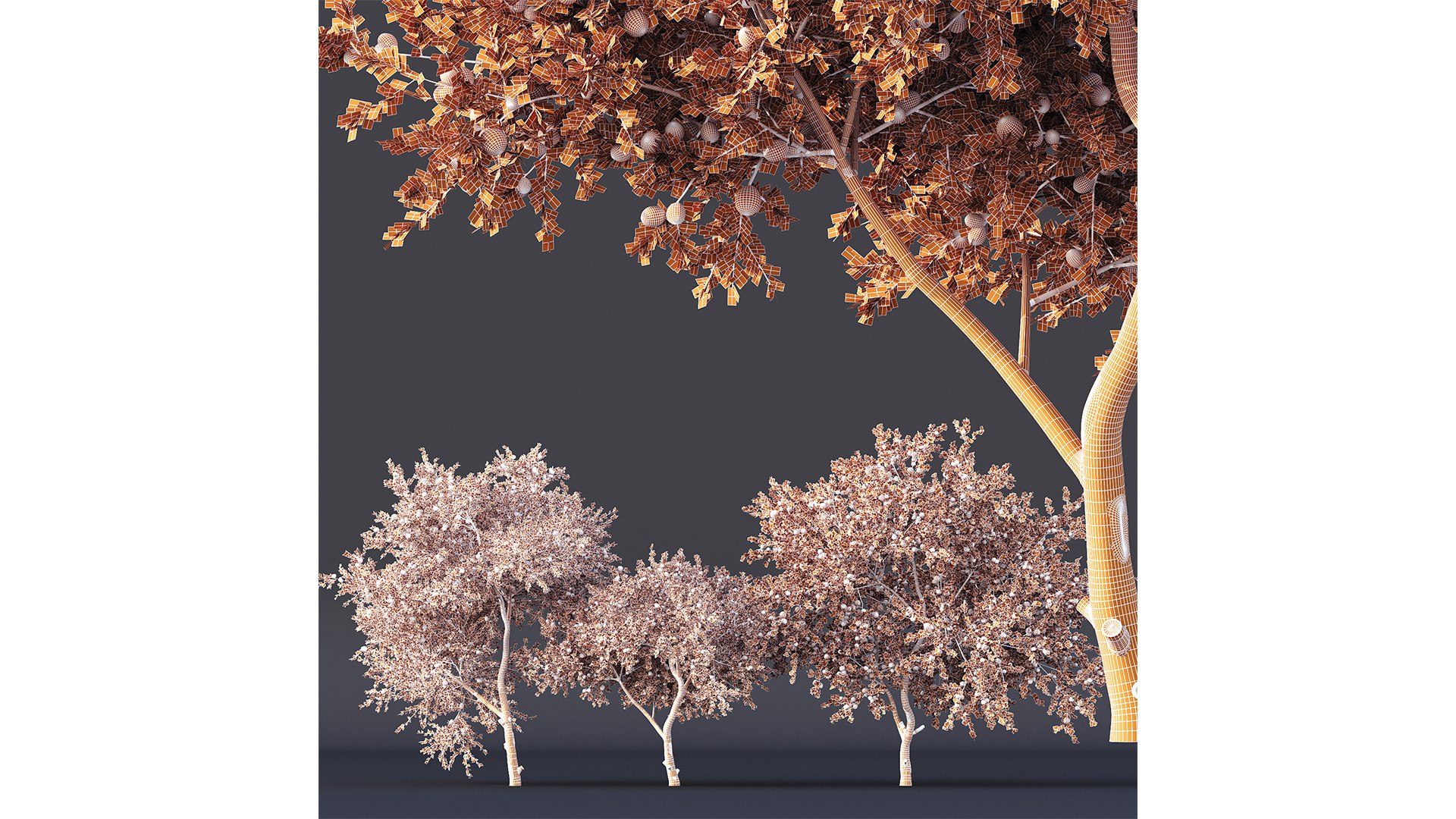HQ Apple fruit Orange fruit Tangerine fruit tree 02 3D model ...