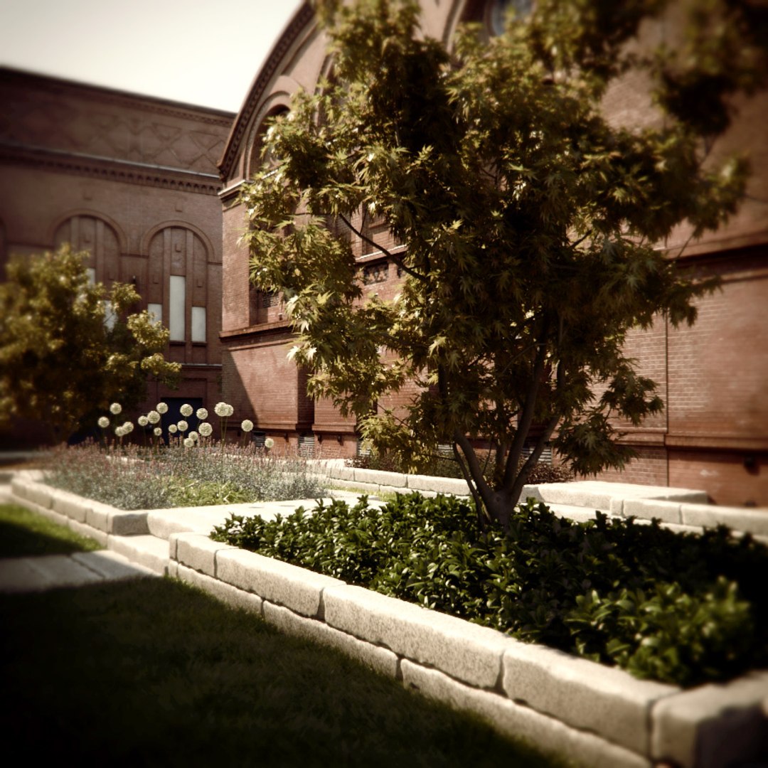 Plant Cover Ground 3d Model