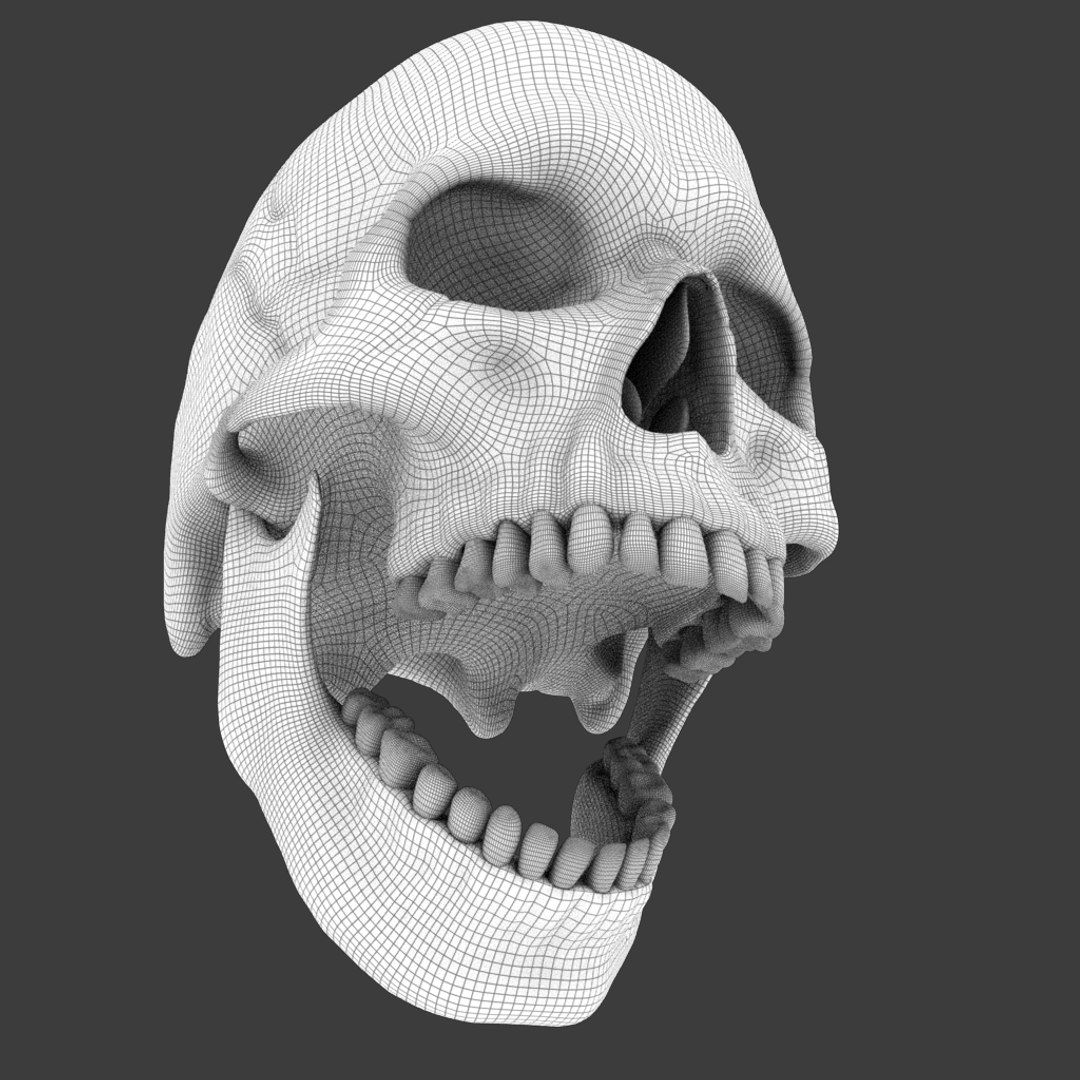 Skull head model - TurboSquid 1343597
