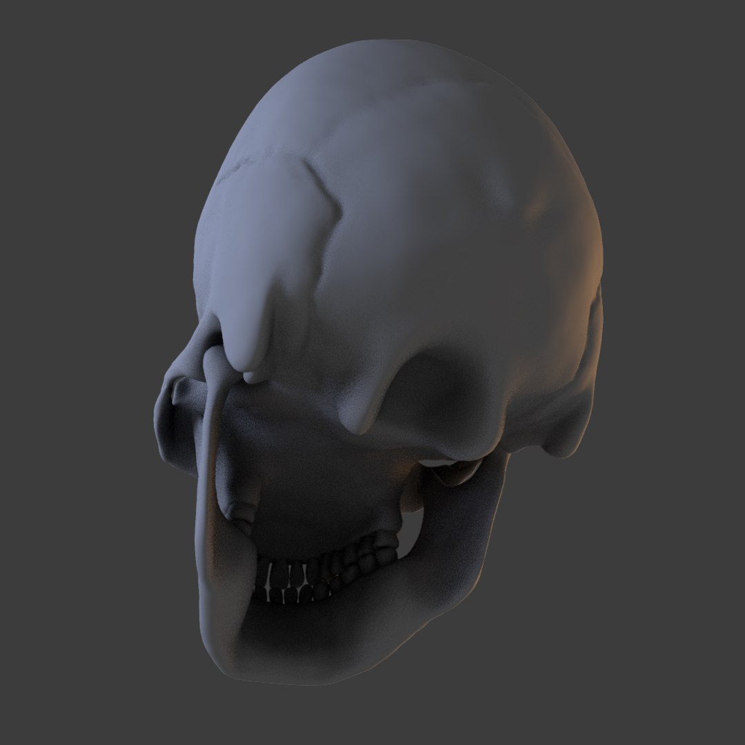 Skull Head Model - TurboSquid 1343597