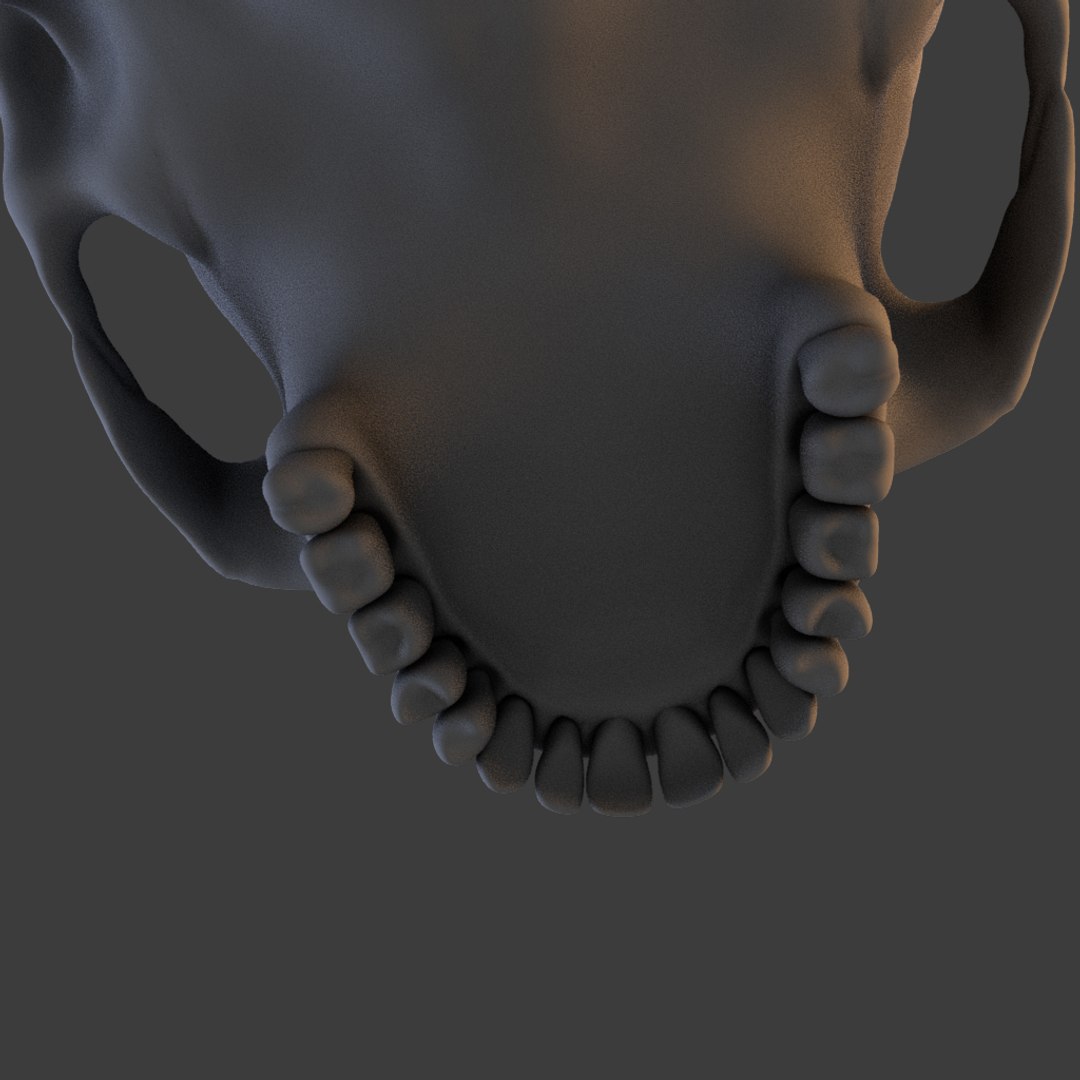 Skull Head Model - TurboSquid 1343597