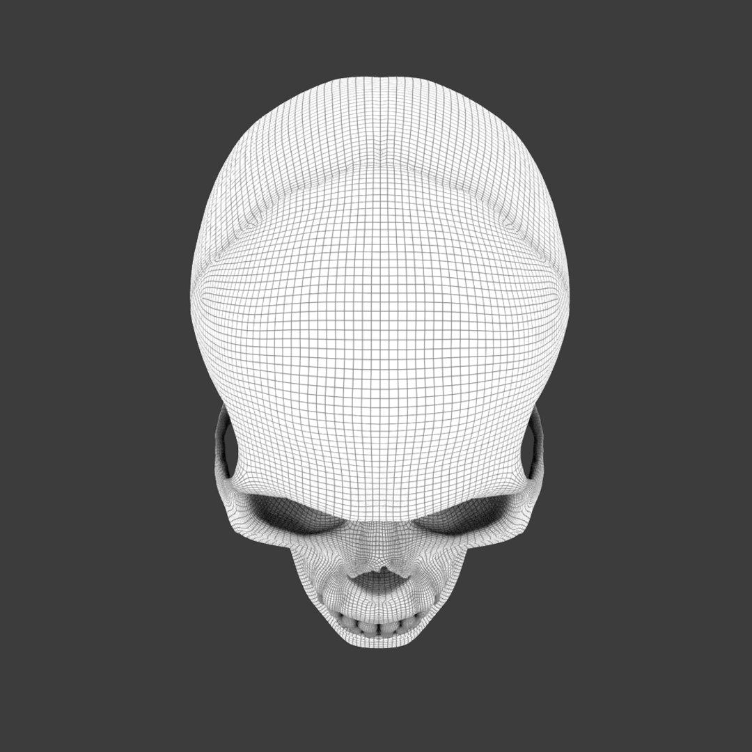 Skull Head Model - TurboSquid 1343597