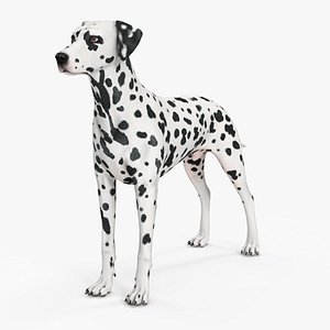 Free Blender Dog Models | TurboSquid