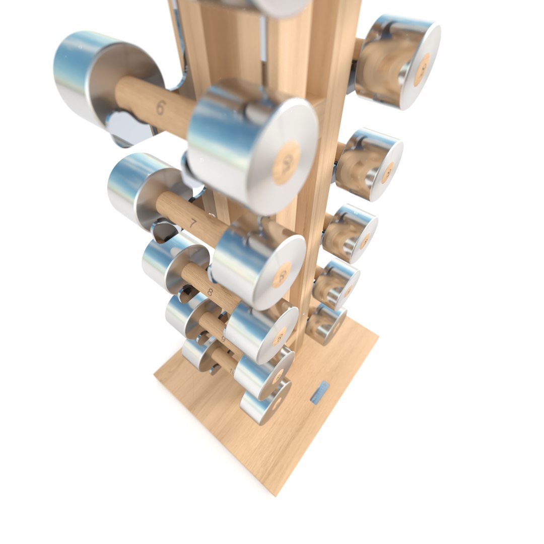 Free Paragon Studio Gym Hand Weights Tree Rack 10 Pair 3D Model ...