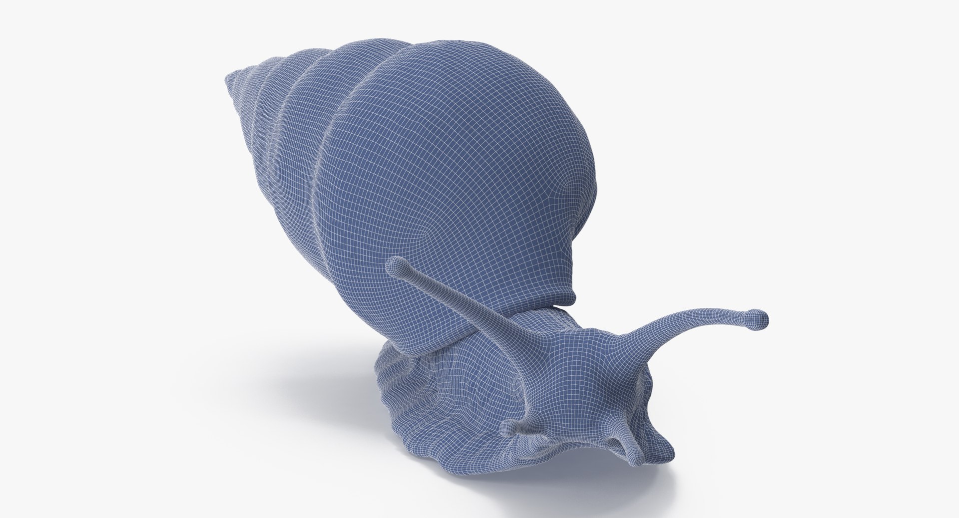3d Snail 02