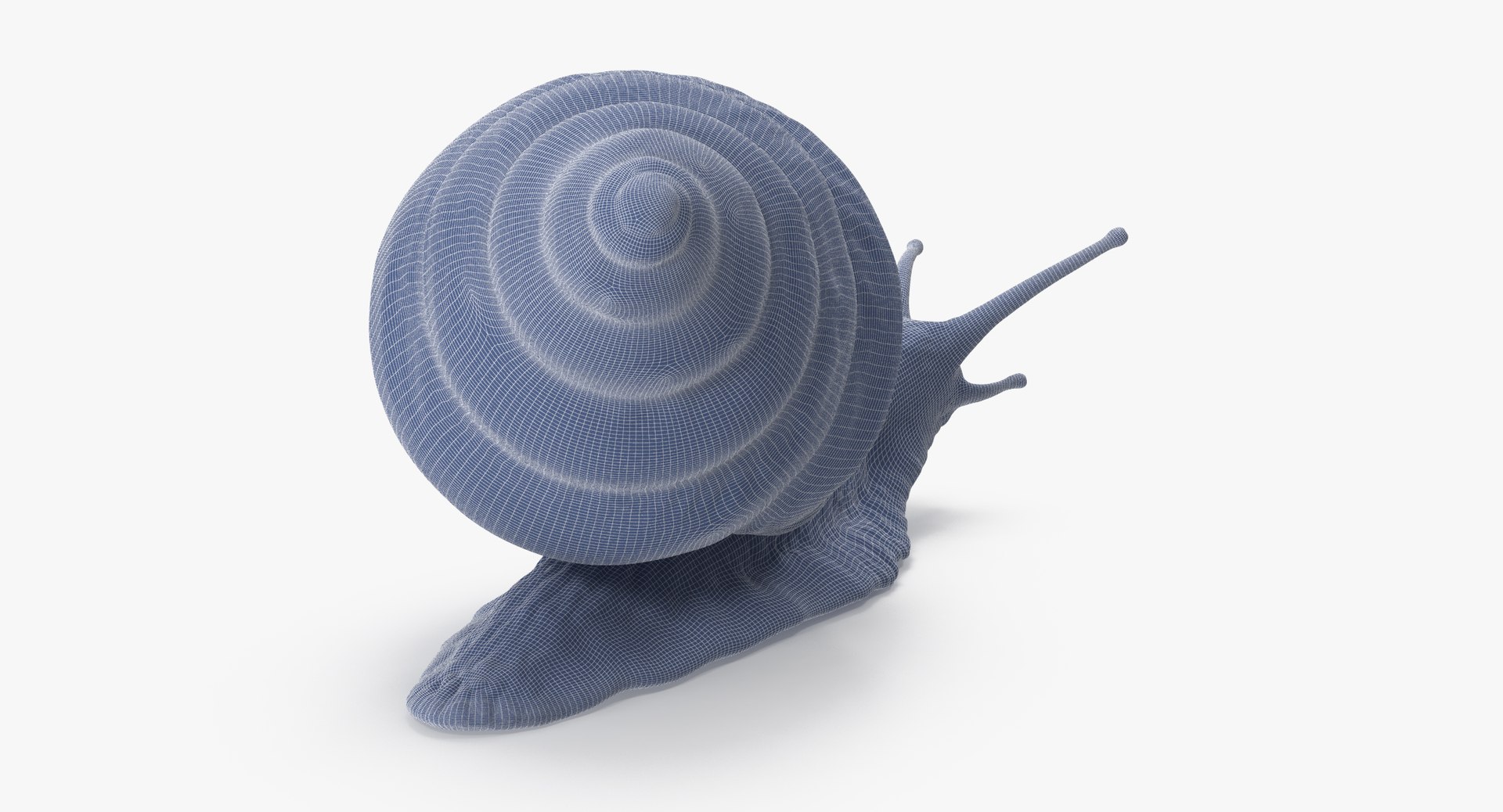 3d Snail 02