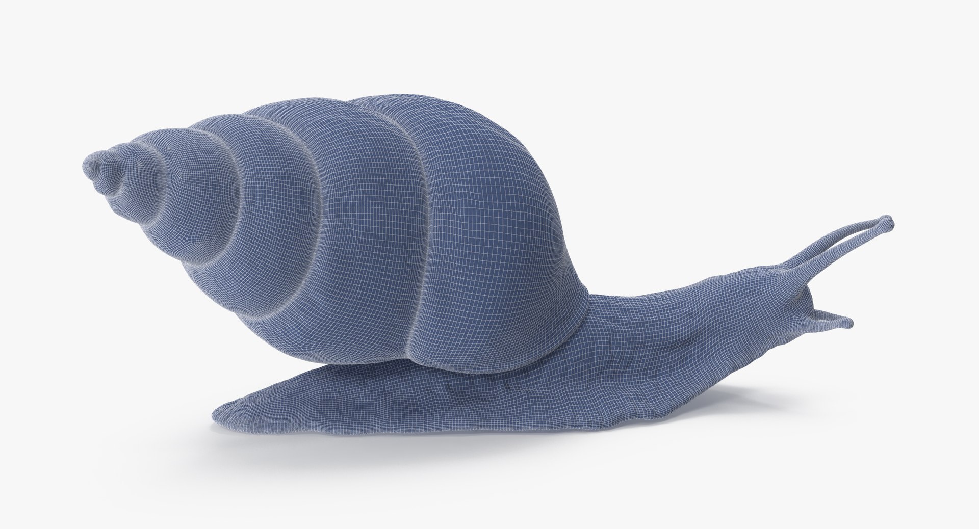 3d Snail 02
