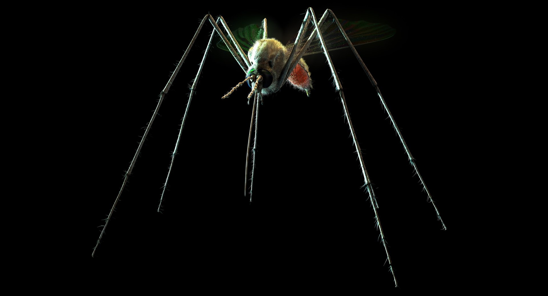 3D Mosquito - TurboSquid 2291455