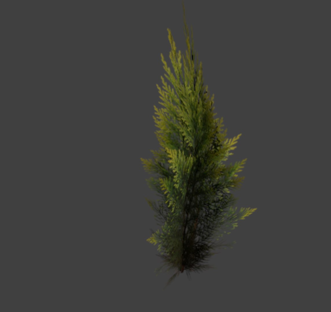 3D Conifer Tree Model - TurboSquid 1380509