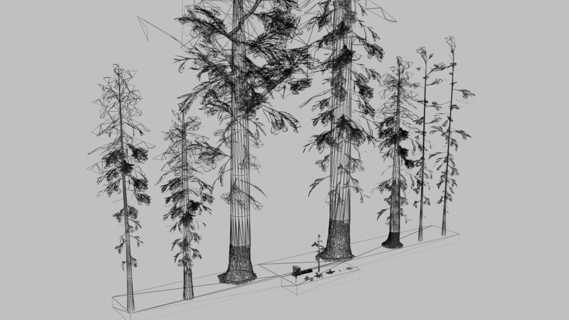 Redwood trees ferns model - TurboSquid 1428861