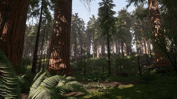 Free 3D Forest Models | TurboSquid