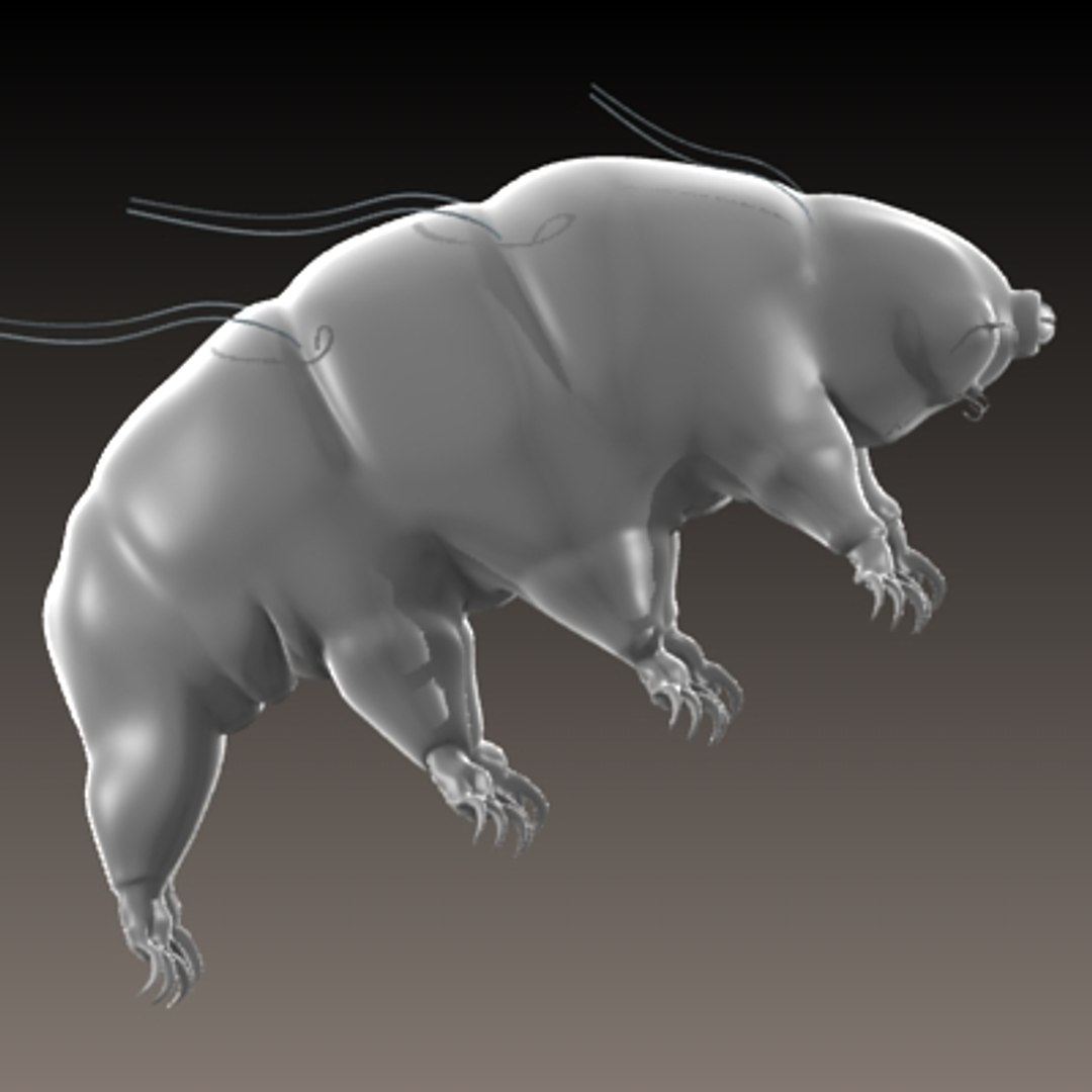 Tardigrade Bear 3d Model
